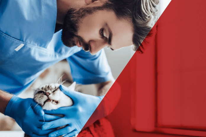 Simplify Waste Management with MCF Environmental Services: Compliance ...